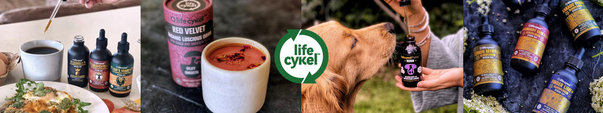 Life Cykel – Cherish Health